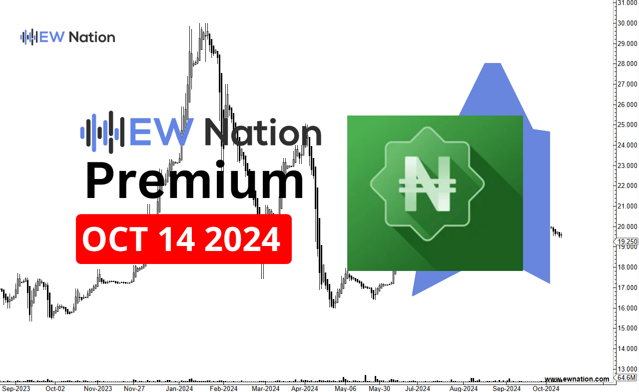 AccessCorp Bulls Aiming Higher - EW Nation